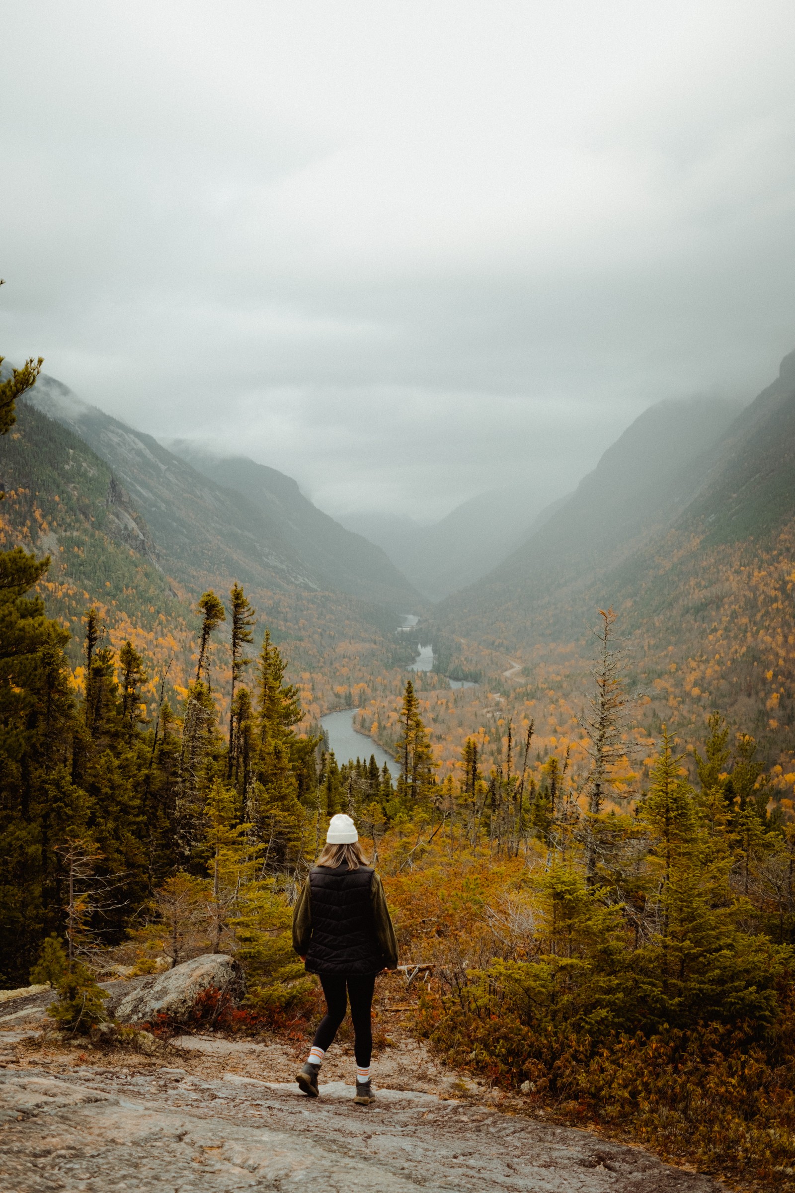 Magazine Continuité - Le ballet des saisons